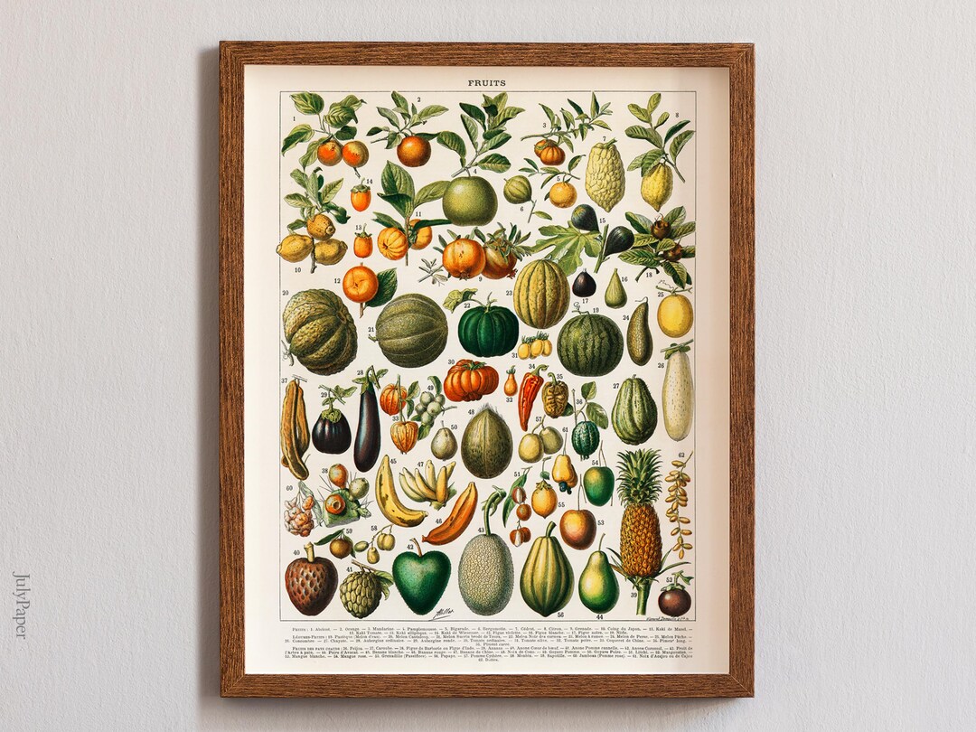 Vintage Fruit Botanical Print: Antique Kitchen Poster - Etsy