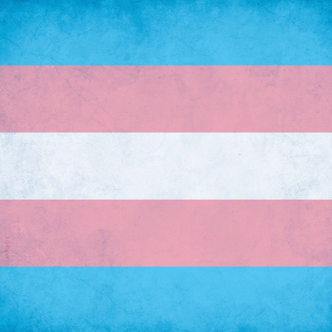 Trans Rights Poster, Transgender Rights Print, Vintage Trans Rights ...