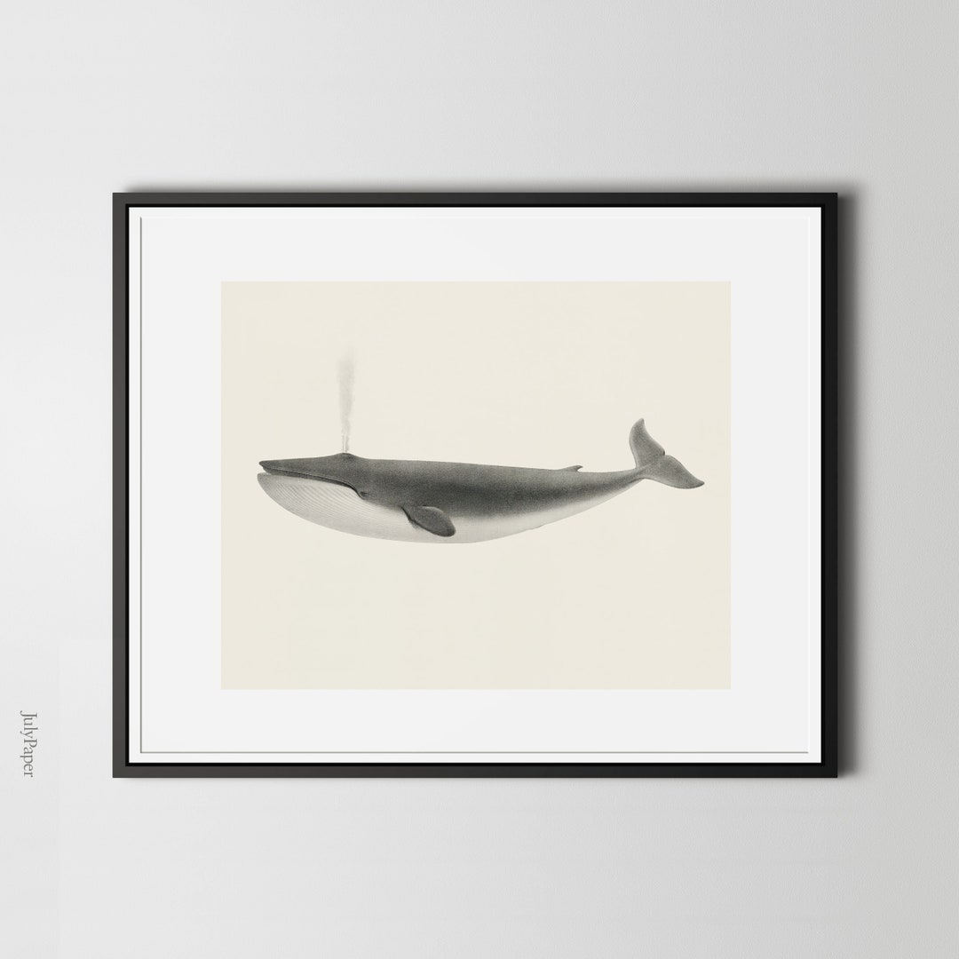 Whale Wall Art, Ocean Poster, Nautical Decor, Animal Print, Monochrome ...