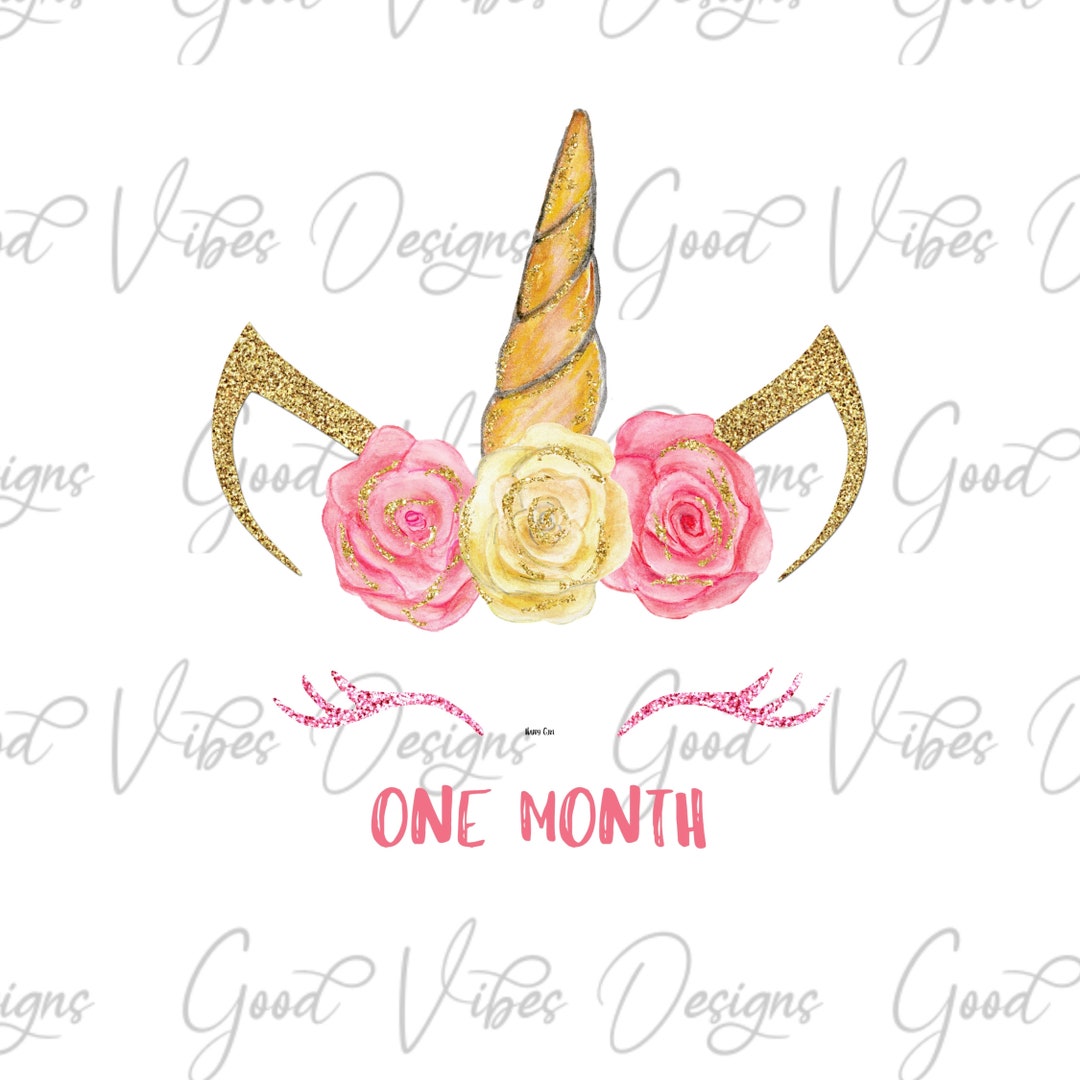 Baby Monthly Milestones, Pink Floral Unicorn Milestones, Blanket Png ...