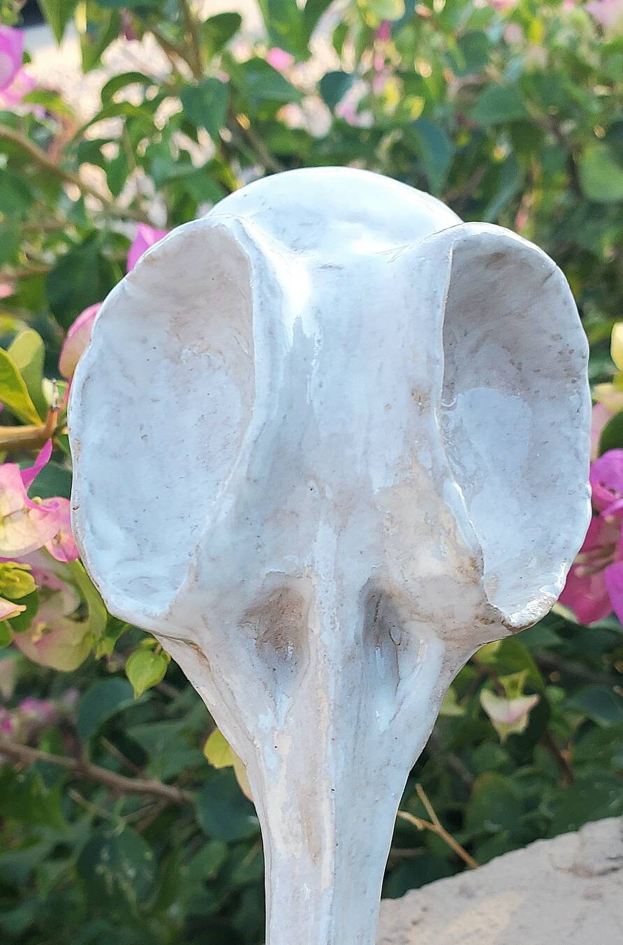 Hand Built Bird Skull Sculpture Pottery White Glazed - Etsy