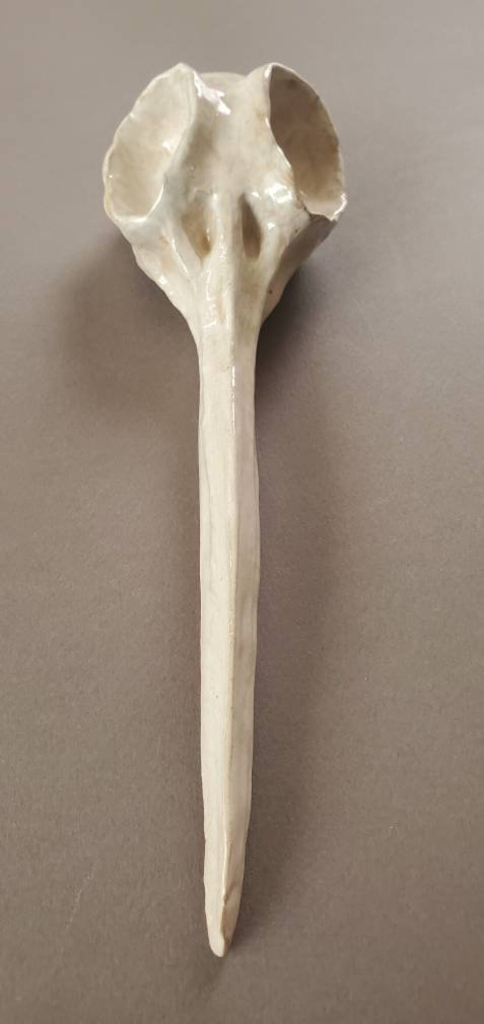 Hand Built Bird Skull Sculpture Pottery White Glazed - Etsy
