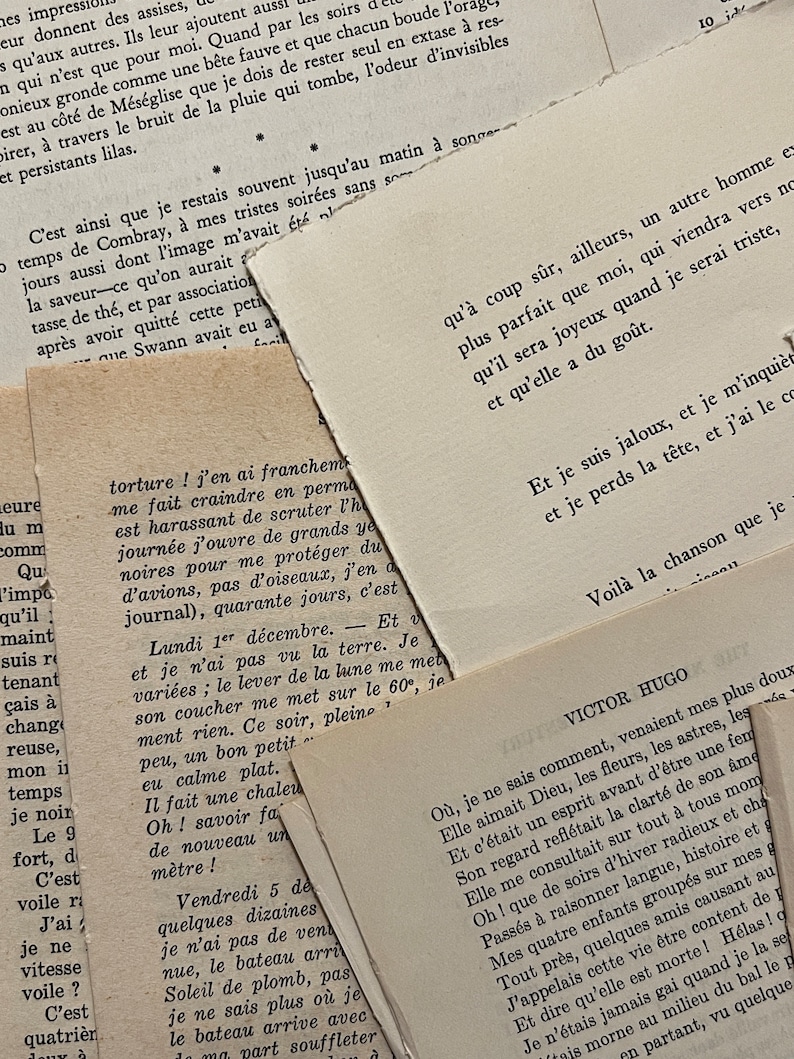 80 Vintage, Neutral, Light and Dark, French, Book Pages - Etsy