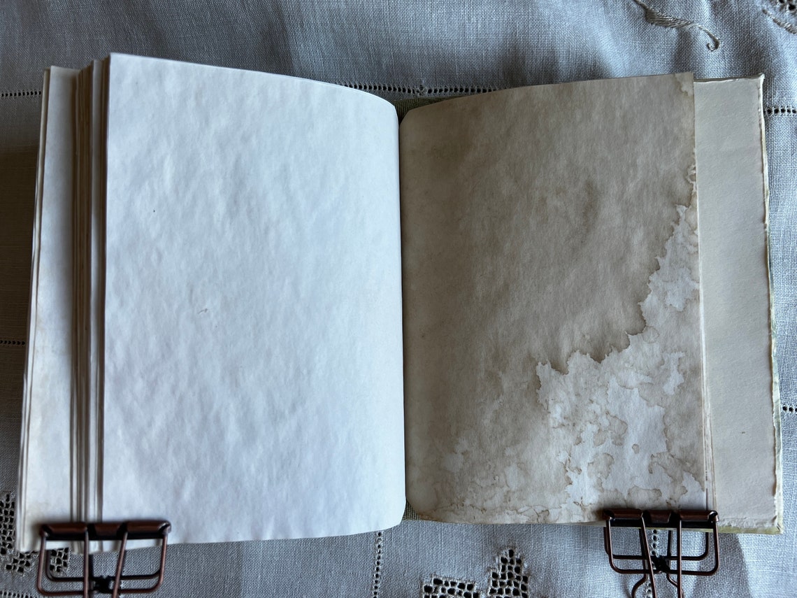Blank Journal With Ecoprints Cover - Etsy