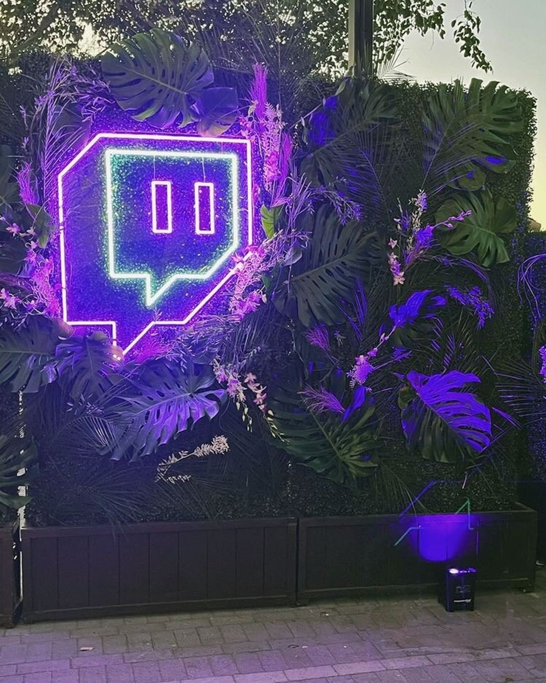 Custom Twitch Led Neon Sign Streaming Neon Light Gamer Neon - Etsy