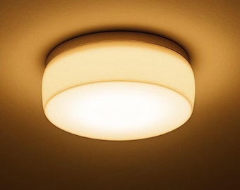duck egg flush ceiling light
