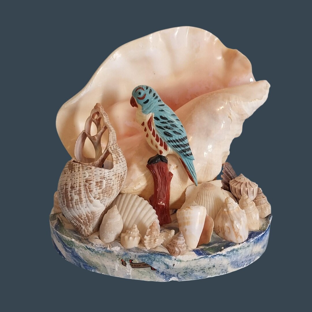 Vintage Seashell TV Lamp Parrot Bird Beach Cottage Kitsch - NO Light ...