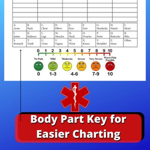 Daily Pain Tracker Editable & Printable Template, Instant Digital ...