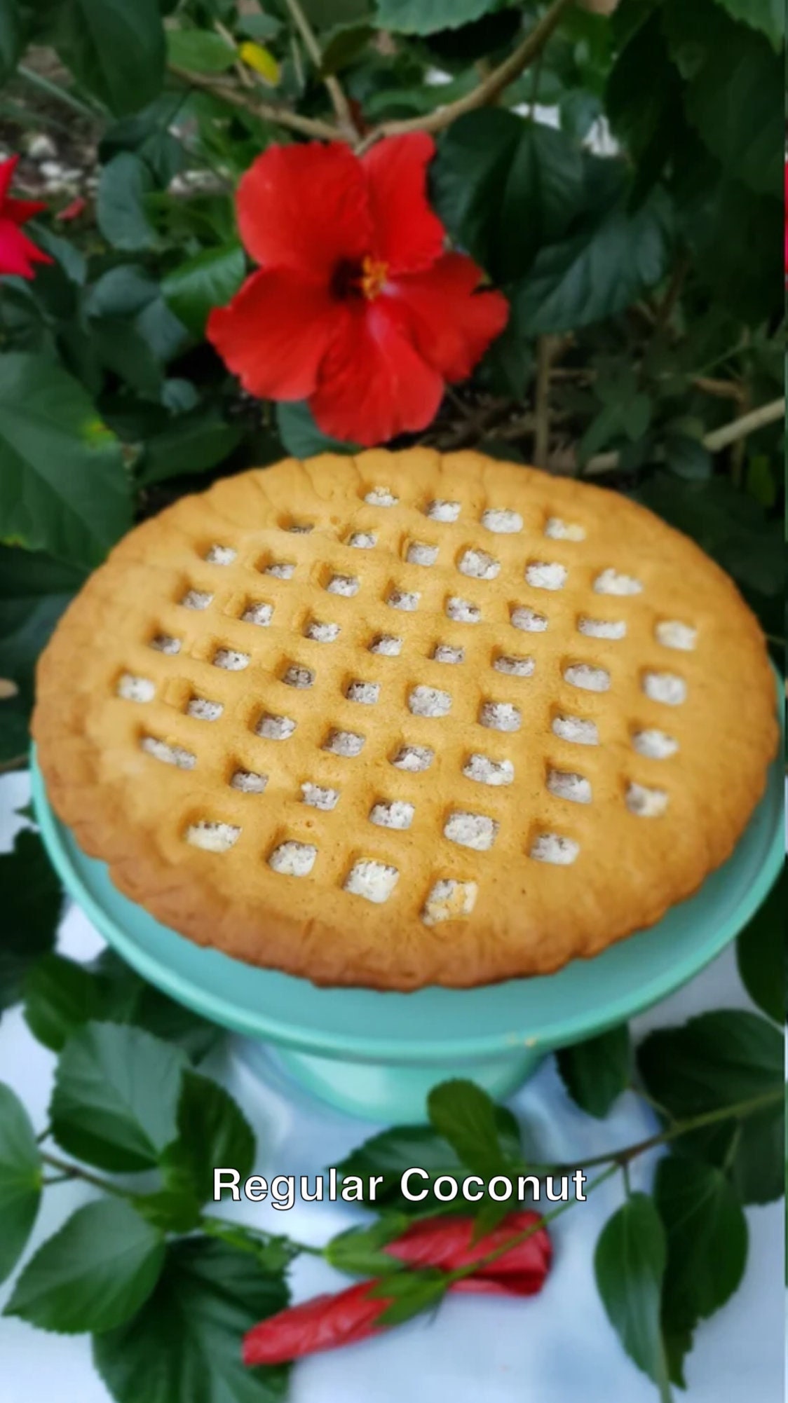 Virgin Islands Coconut Tart ( 10 Inch) - Etsy