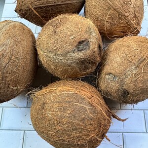 Virgin Islands Coconut Dumb Bread (10 Inch) - Etsy