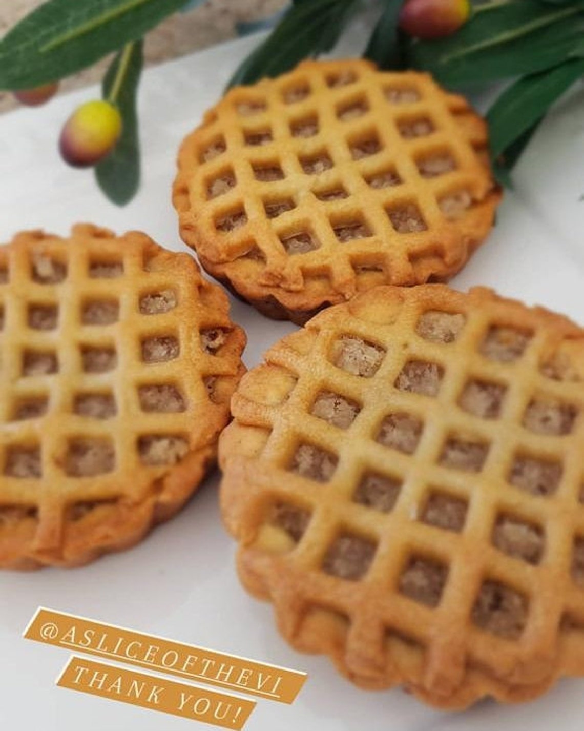 Virgin Islands Tart Sample Pack ( 5 Tarts) - Etsy