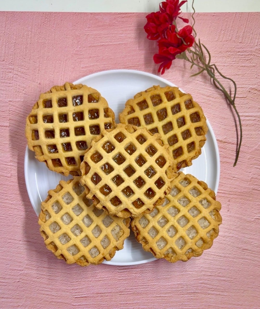 Virgin Islands Tart Sample Pack ( 5 Tarts) - Etsy