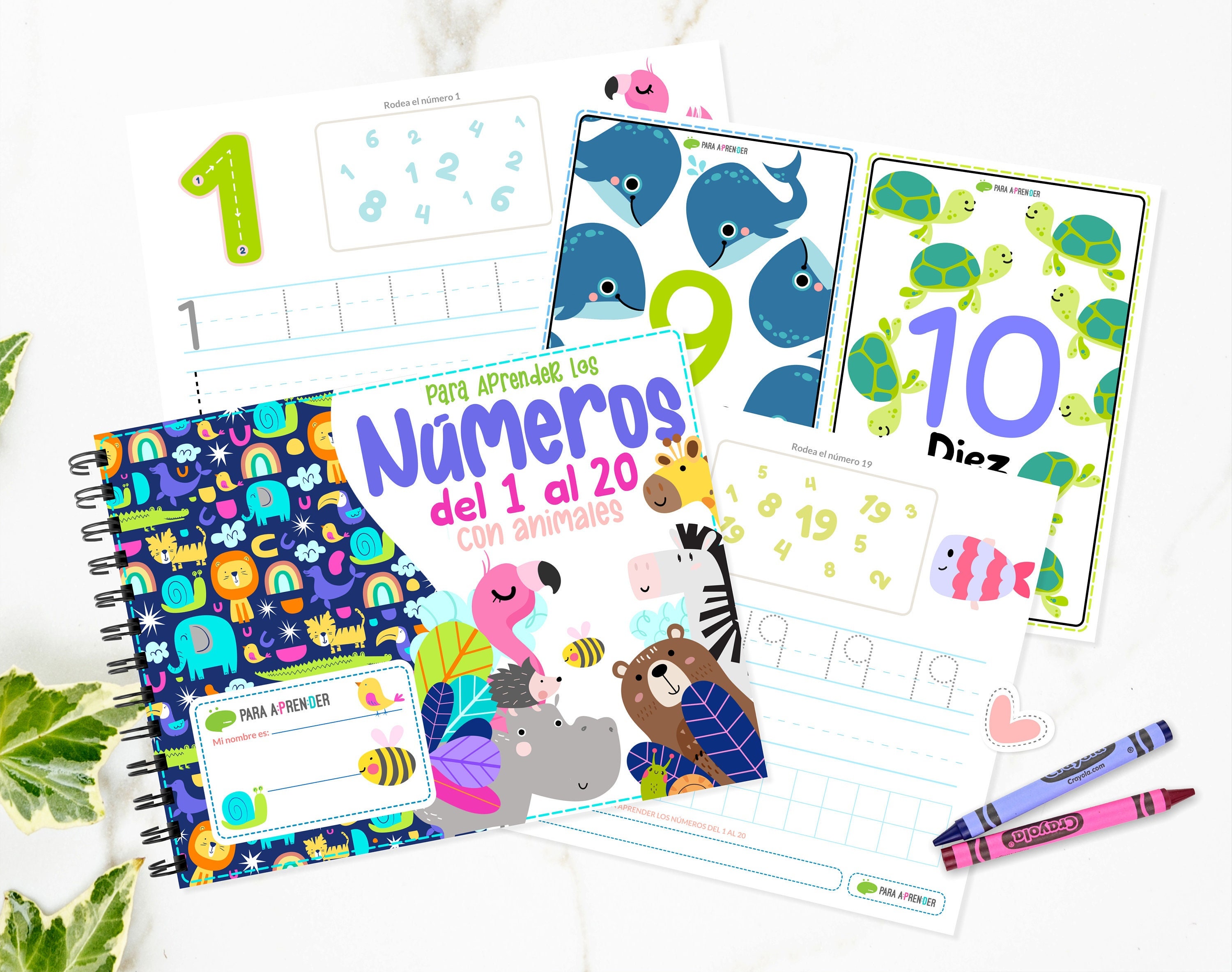 Animal Spanish Number Flash Cards Number Flash Cards Number Learning ...