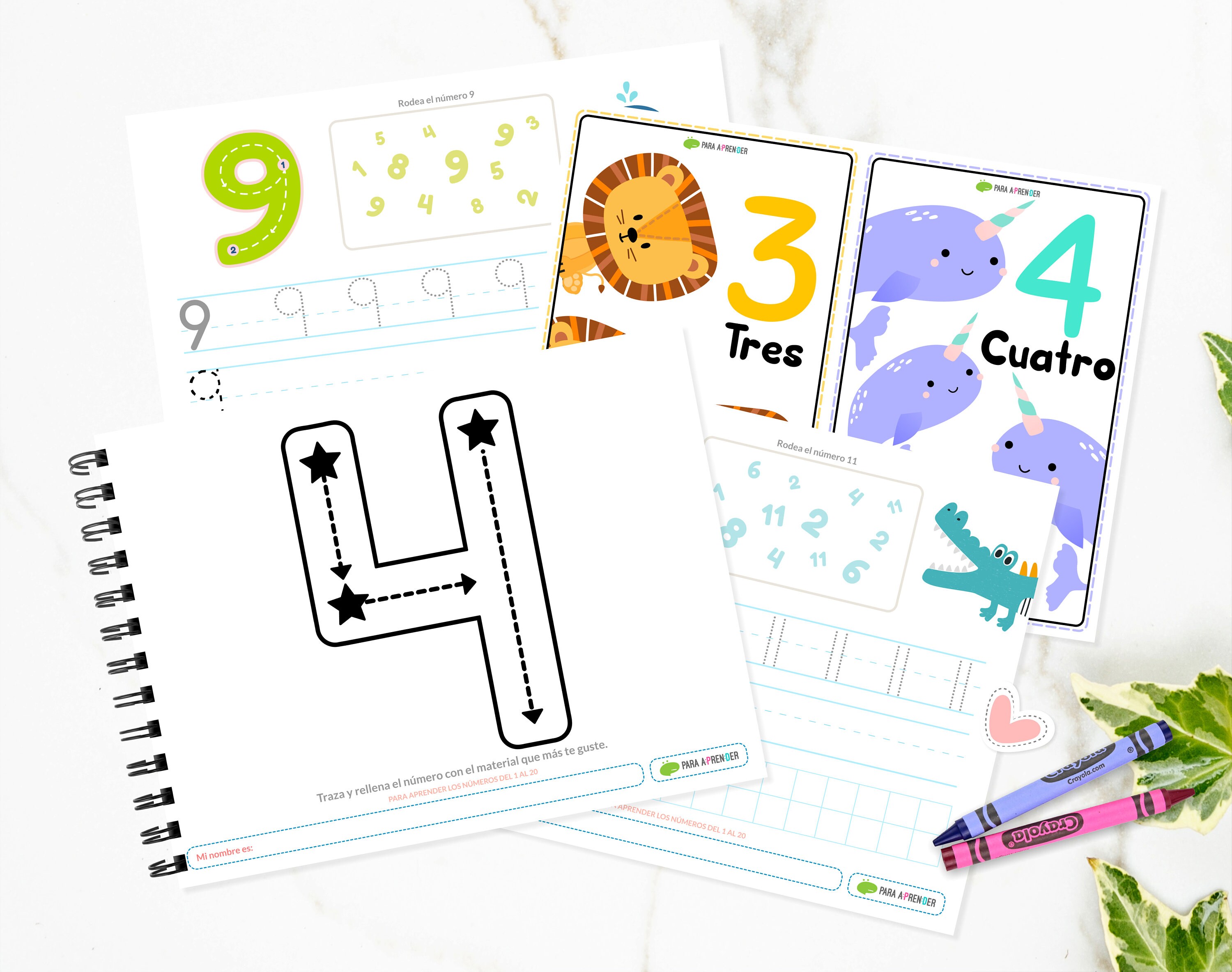 Animal Spanish Number Flash Cards Number Flash Cards Number Learning ...