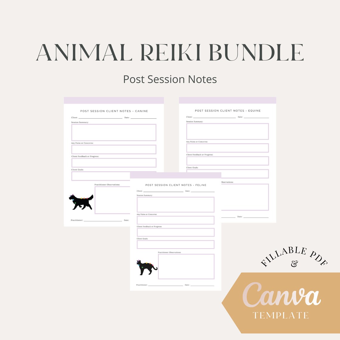 Pet Reiki Session Form Bundle Animal Reiki Session Form - Etsy