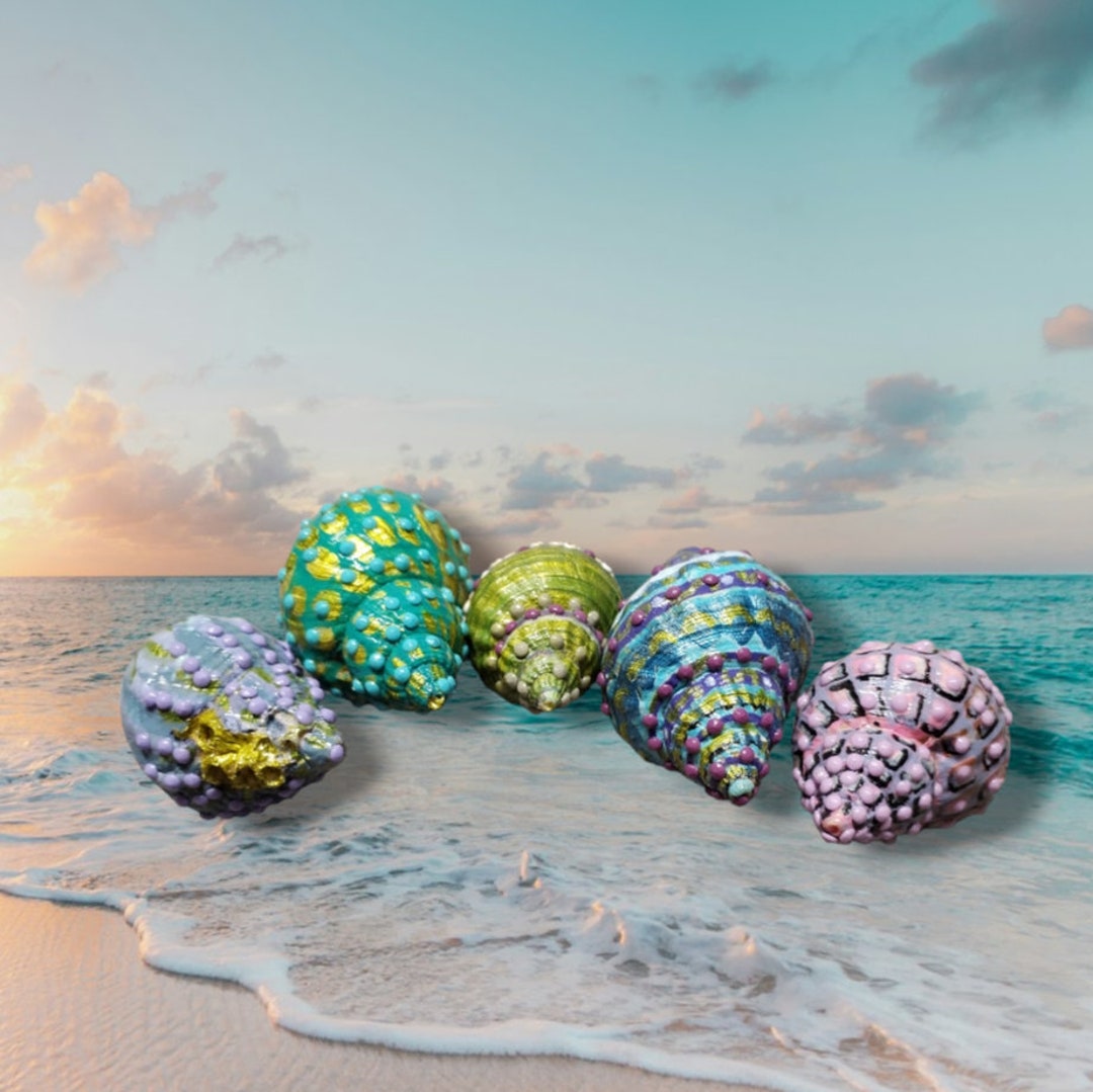 Hand Painted Shells, Set of Sea Shells, Shell Art, Decorated Shells ...