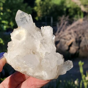 Clear Quartz Crystal Specimen Cluster 148 Grams - Etsy