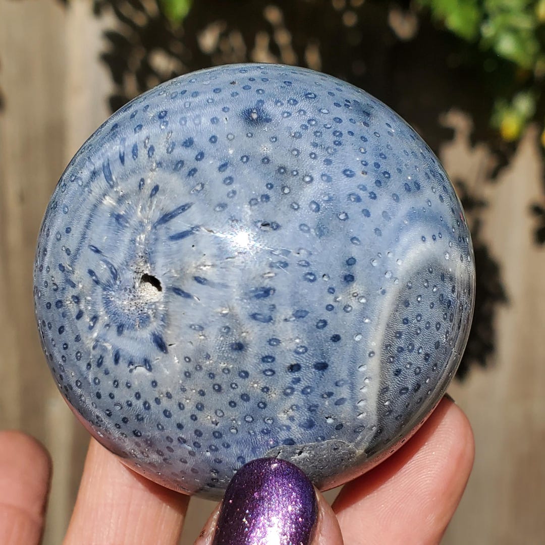 RARE Blue Coral Fossils Crystal Sphere | 176 Grams | 54mm - Etsy