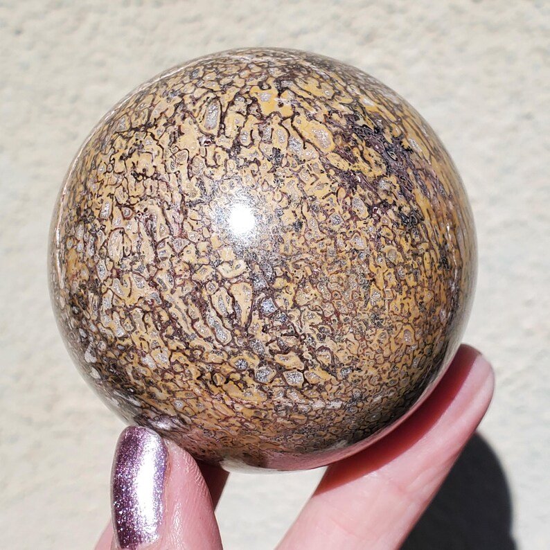 Dinosaur Gembone Dinobone Fossil Sphere Agatized Bone 308 Gram 61mm ...