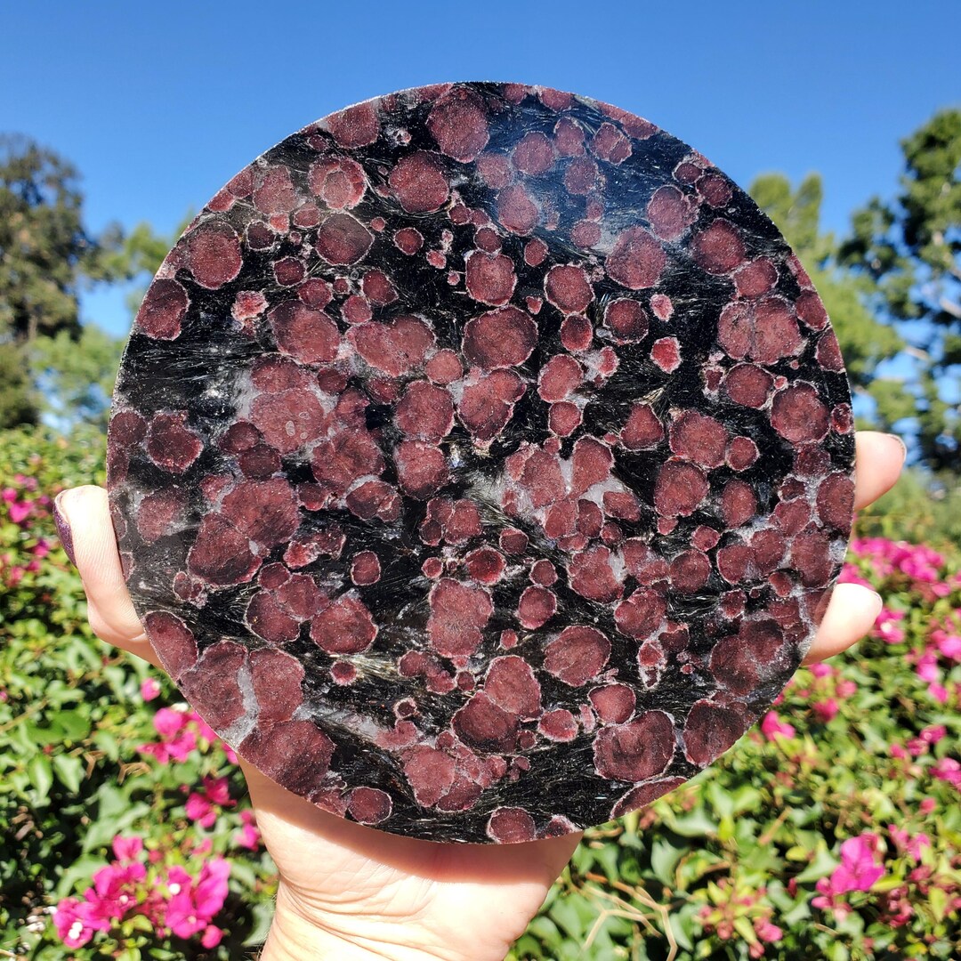 Red Garnet Arfvedsonite Large Circle Coaster Display Plate Grade AA L ...