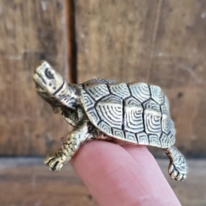 Sulcata Tortoise Turtle Pure Brass Casted Mini Figurine Highly ...