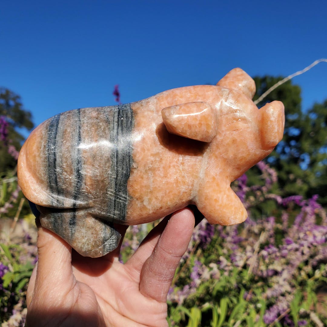 Sunstone Banded Pig Potbelly Pig Animal | A Grade Crystal Figurine ...