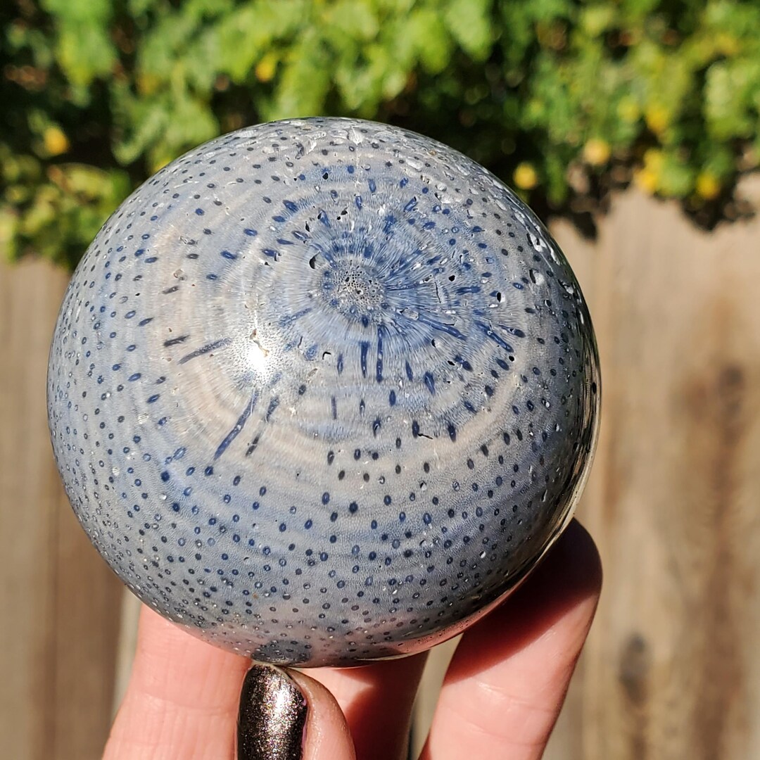 RARE Blue Coral Fossils Crystal Sphere | 324 Grams | 64 Mm - Etsy