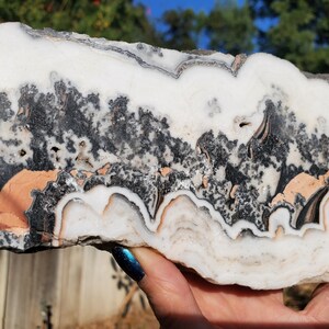 Mexican Colorful Picture Stone Dendrite Calcite Display Slab | 816 ...