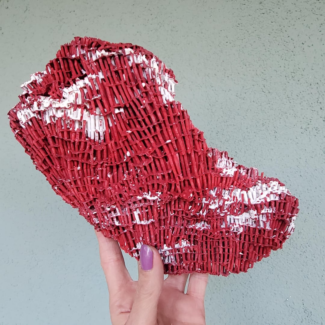 XL Tubipora Musica Organ-pipe Coral Vintage Fossil AA Grade Specimen ...