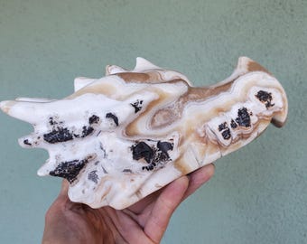 4lbs+ Dragon Head Skull Banded Dendrite Calcite | A Grade Crystal ...