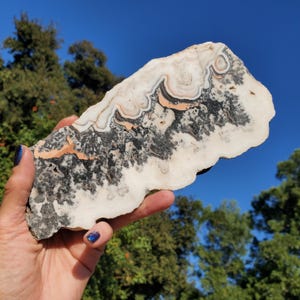 Mexican Colorful Picture Stone Dendrite Calcite Display Slab | 816 ...