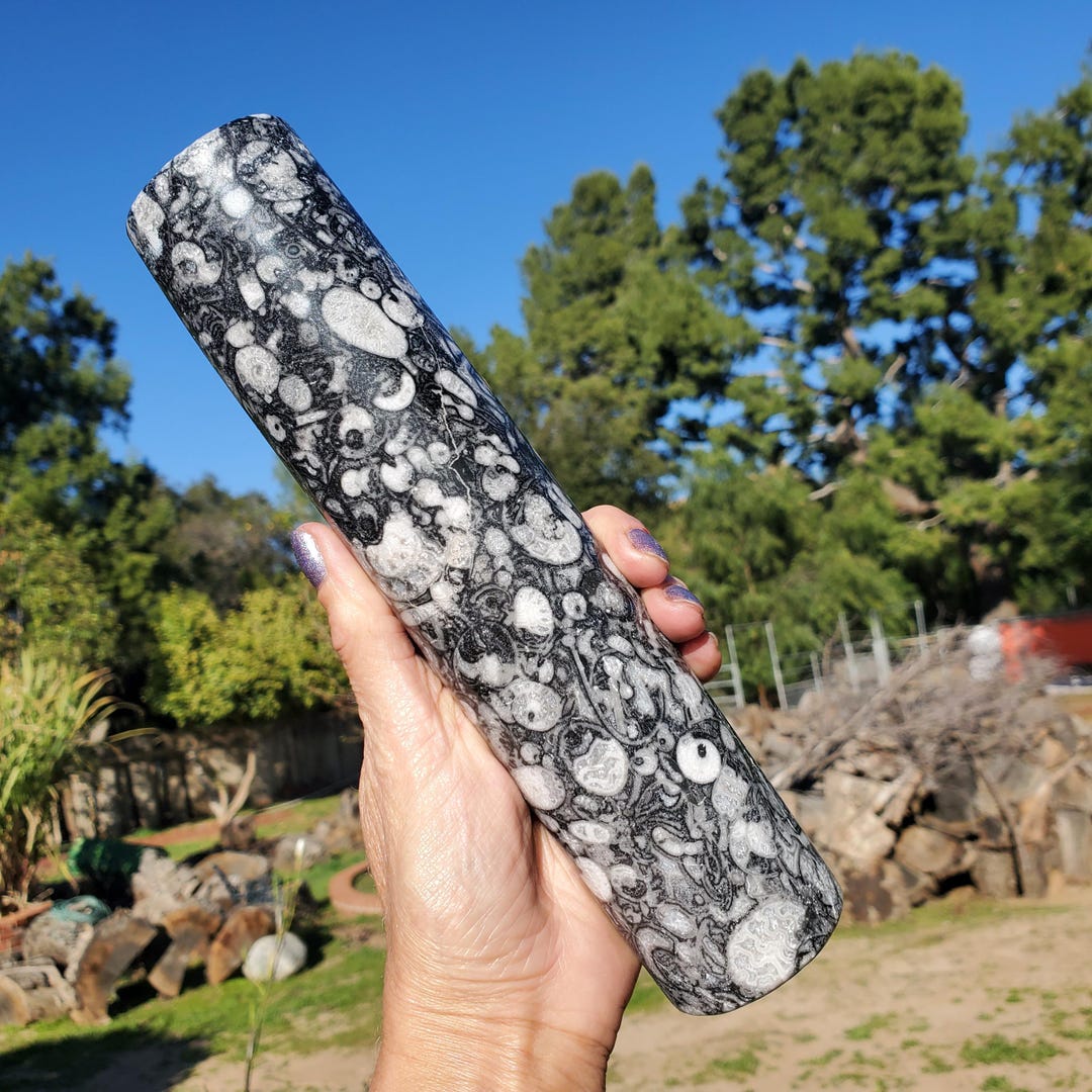Crinoid Marine Fossil Crystal Cylinder Freeform Tube Tower Point Black ...