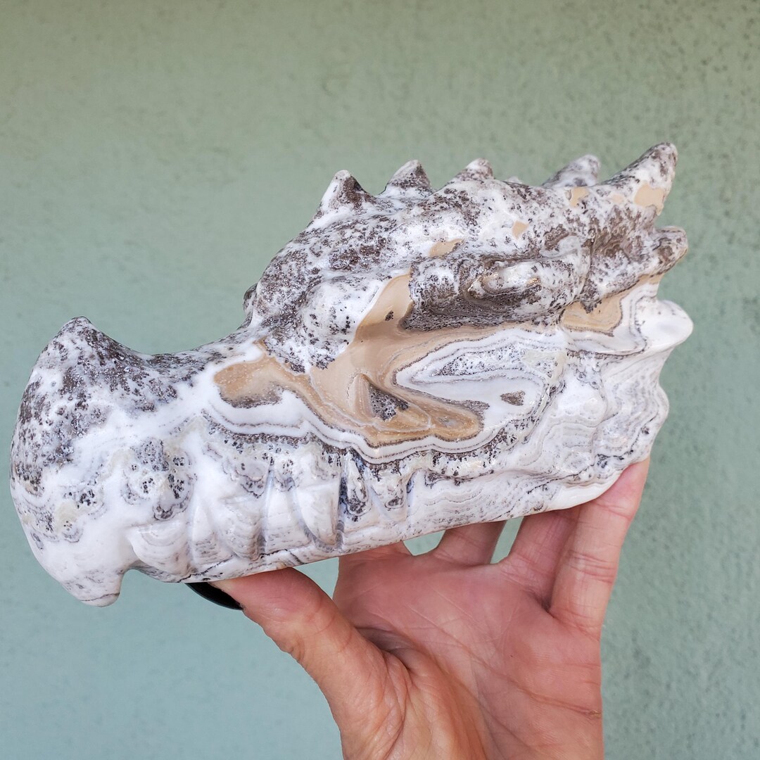 3lbs+ Dragon Head Skull Banded Dendrite and Orange Calcite | A Grade ...