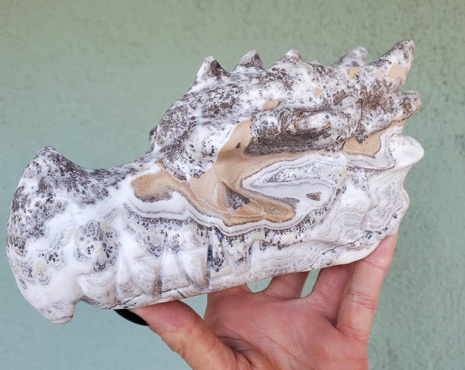 4lbs+ Dragon Head Skull Banded Dendrite Calcite | A Grade Crystal ...