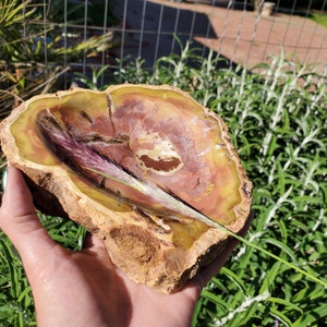 Petrified Wood Bowl Pink Peach Rustic Decor Trinket Dish 1050 Grams ...