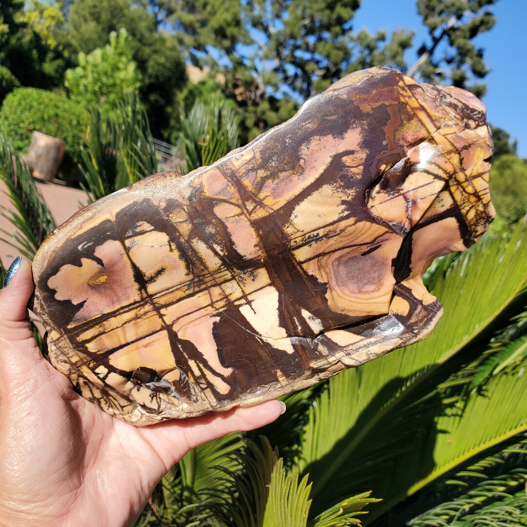 Outback Australian Jasper Crystal Display Slab 1140 Grams 2lbs 5oz - Etsy