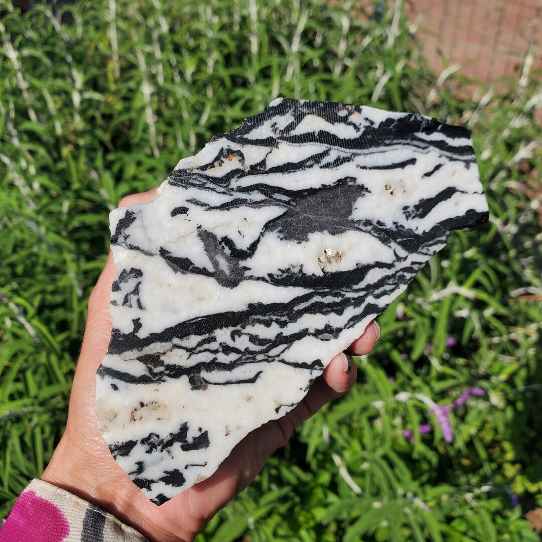 Large Zebra Jasper Rough Raw A Grade Specimen 812 Grams 1lbs 13oz - Etsy