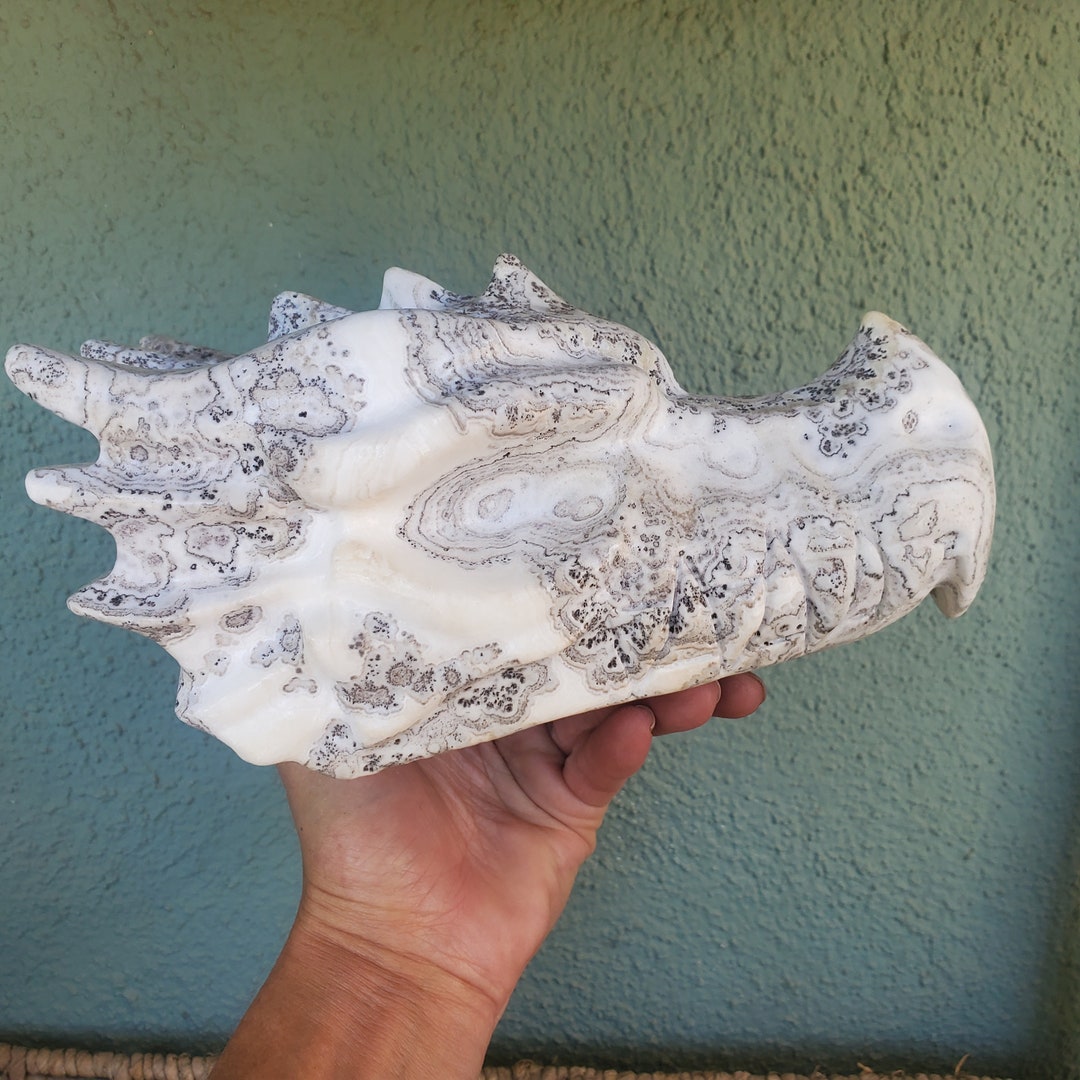 4lbs Dragon Head Skull Banded Dendrite Calcite A Grade Crystal Carving ...