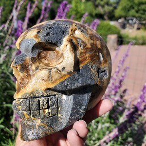Large Skull Half-face Calcite Mix Crystal Skull Carving 878 Grams 2lbs ...