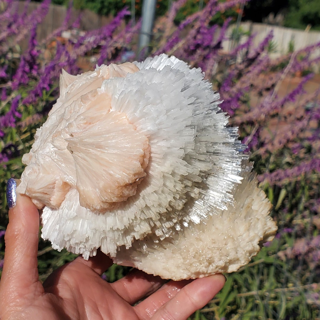 Large Scolecite Spray Specimen on Matrix 1240 Grams 2lbs 12oz - Etsy