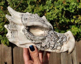 4lbs+ Dragon Head Skull Banded Dendrite Calcite | A Grade Crystal ...