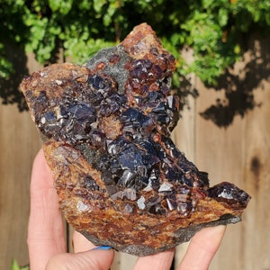 Red Garnet Cluster Cubes Specimen Druzy Crystal W/ Sphalerite 590 Grams ...