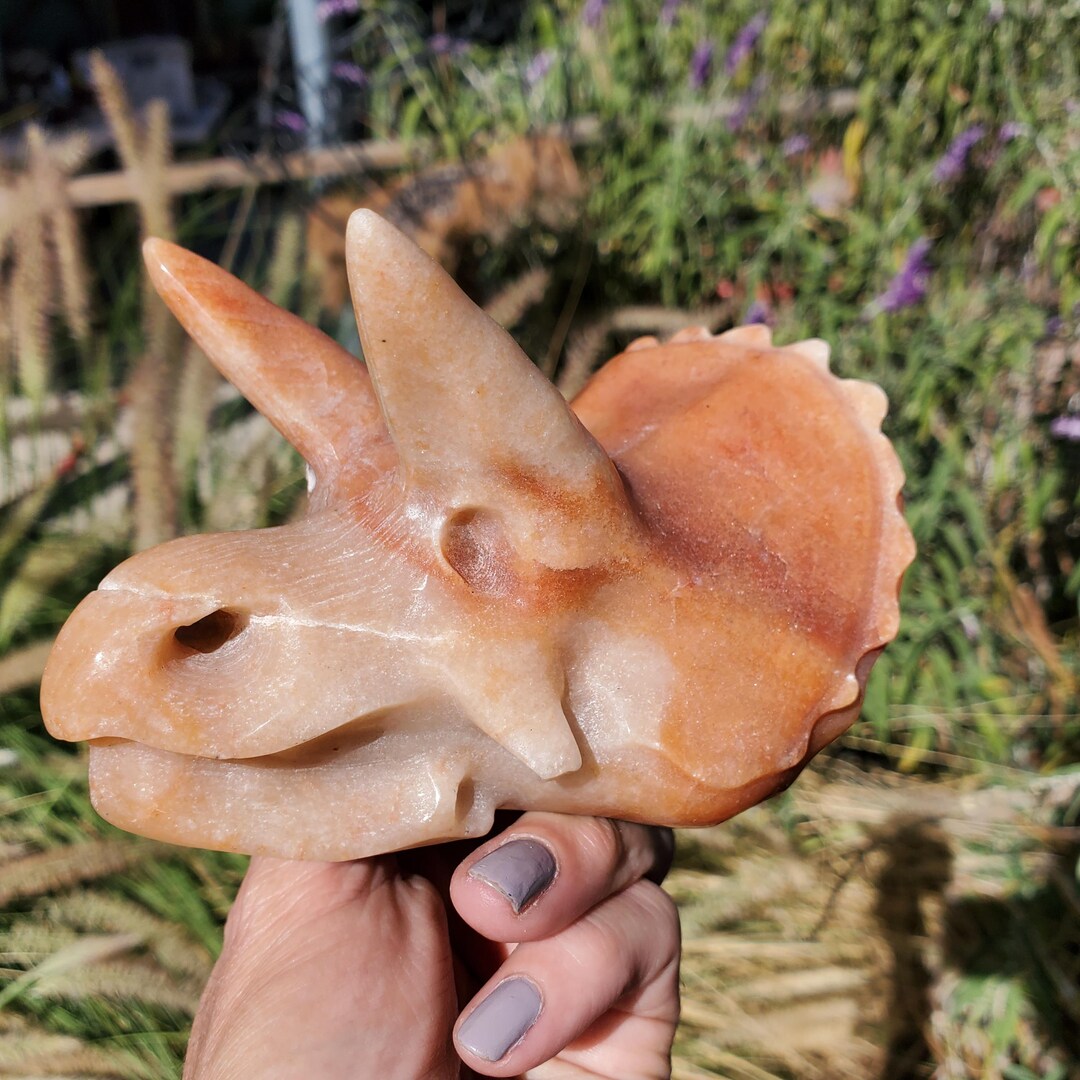 Triceratops Head Skull Dinosaur Sunstone Crystal Carving 512 Grams 1lbs ...
