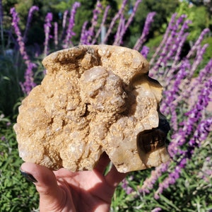 Large Skull Half-face Calcite Mix Crystal Skull Carving 878 Grams 2lbs ...