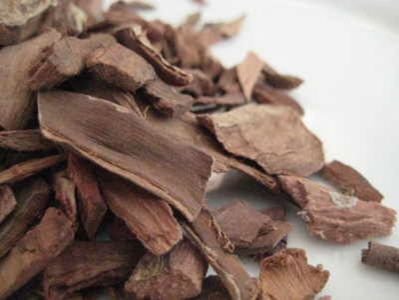Terminalia Arjuna Bark Arjun Tree Bark - Etsy