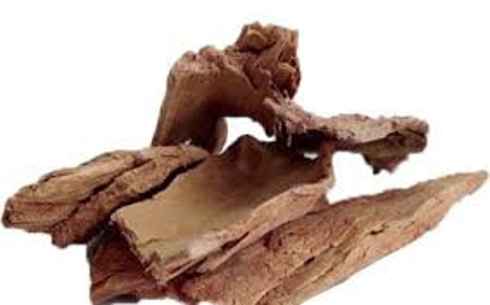 Terminalia Arjuna Bark Arjun Tree Bark - Etsy