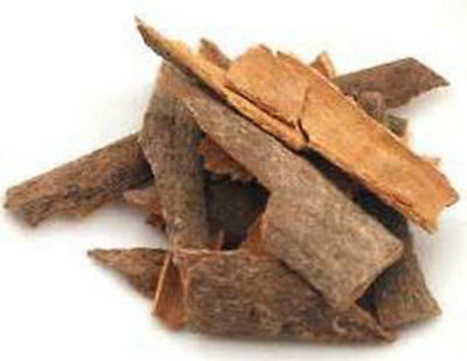Terminalia Arjuna Bark Arjun Tree Bark - Etsy