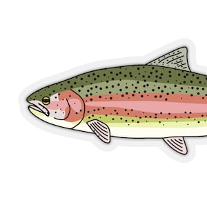 Rainbow Trout Decal | Kiss-cut Stickers - Etsy