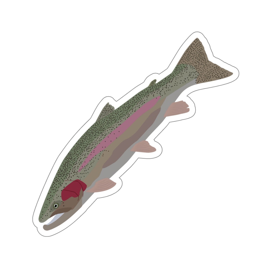 Steelhead Decal | Kiss-cut Fish Sticker | Steelhead Trout - Etsy