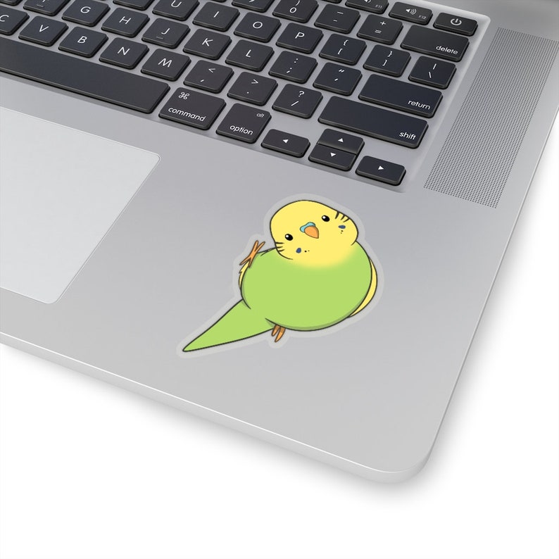 Cute Budgie Sticker Cute Bird Stickers Parakeet Sticker - Etsy